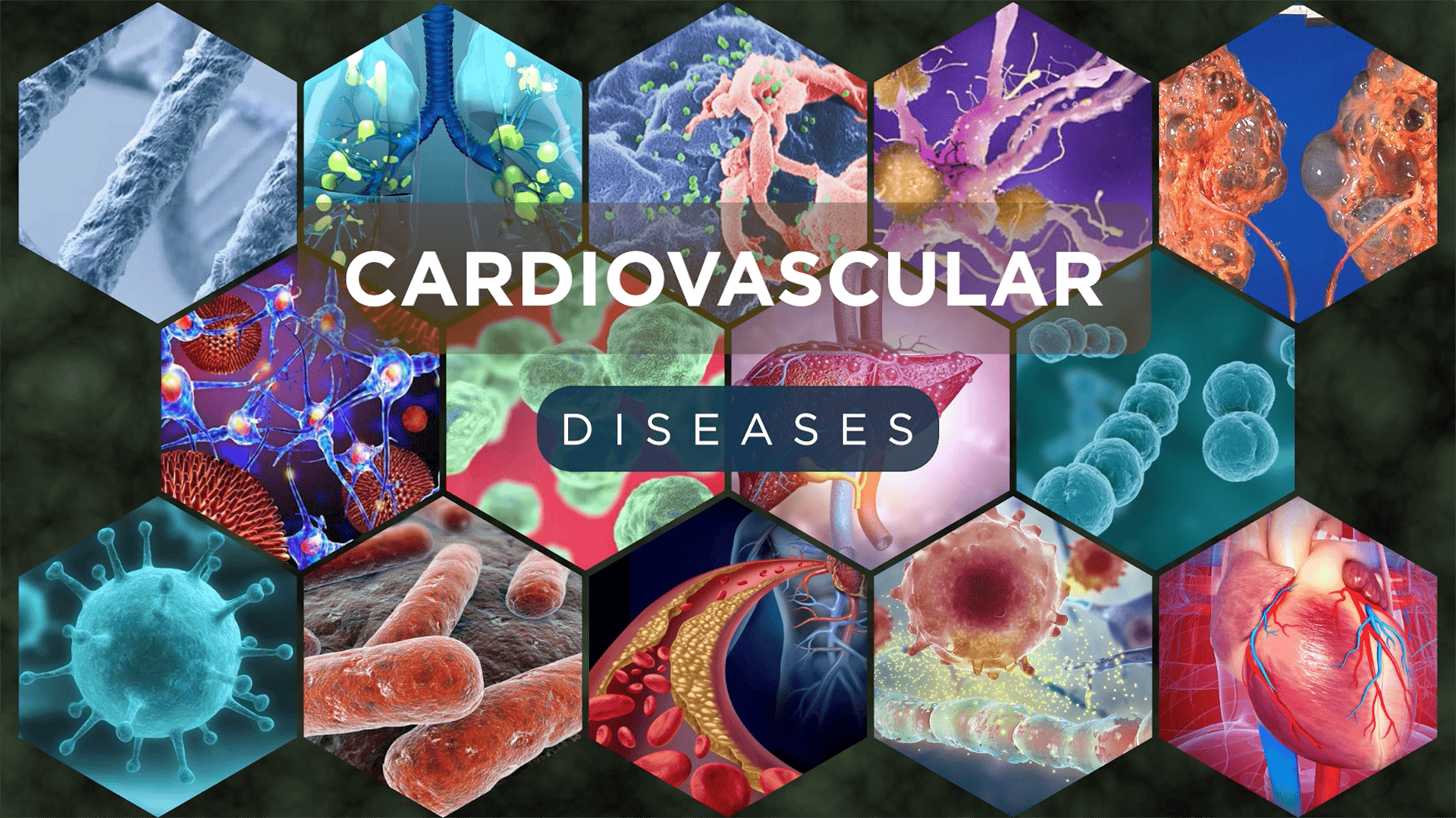 Cardiovascular Diseases Explained – Causes, Symptoms, & Treatments ...