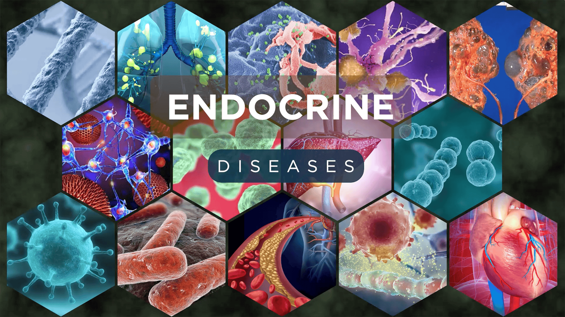 Endocrine Diseases Explained – Causes, Symptoms, & Treatments ...