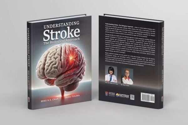 REBUILDING THE BRAIN: How Stem Cells Science is Turning Stroke Recovery ...